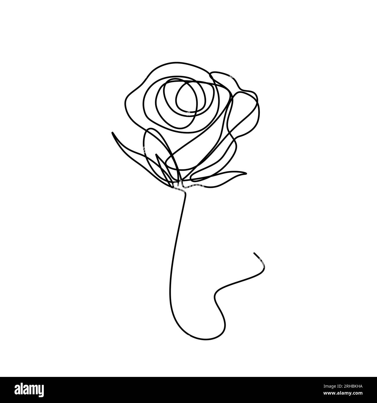 Flower continuous one line art drawing vector illustration. Awesome rose isolated on white ...