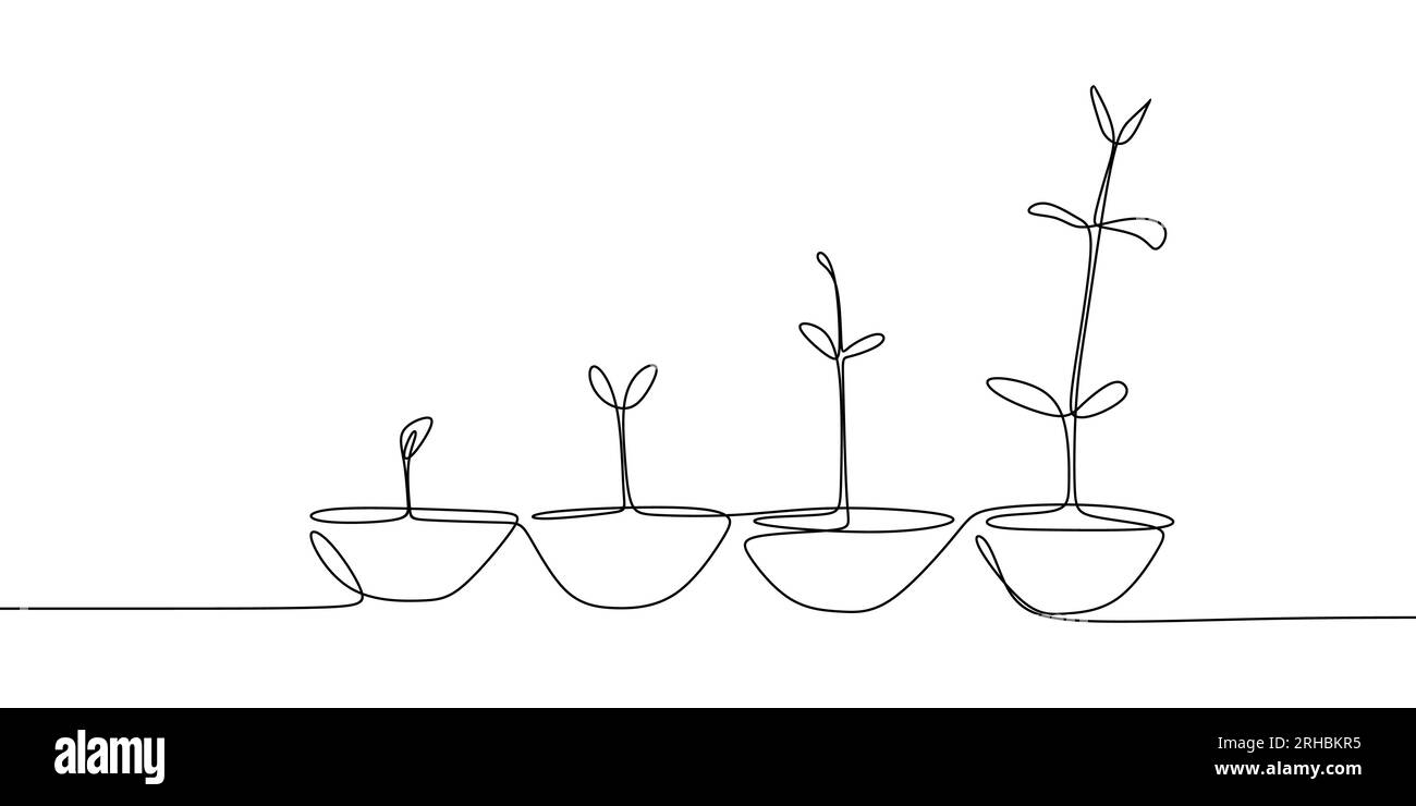 continuous line drawing of plant growth processes Stock Vector Image ...