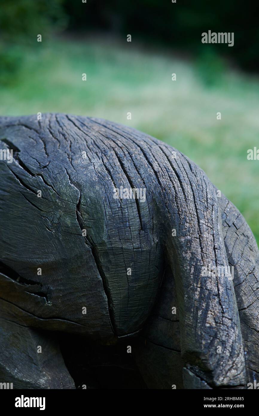 Smooth wood texture hi-res stock photography and images - Alamy