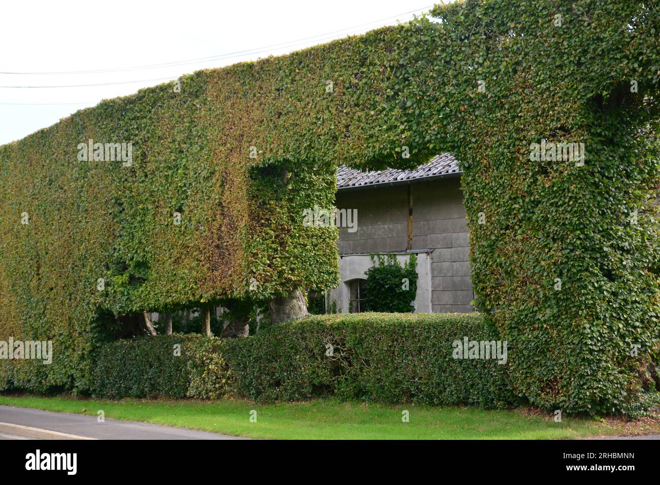 High hedges hi-res stock photography and images - Alamy