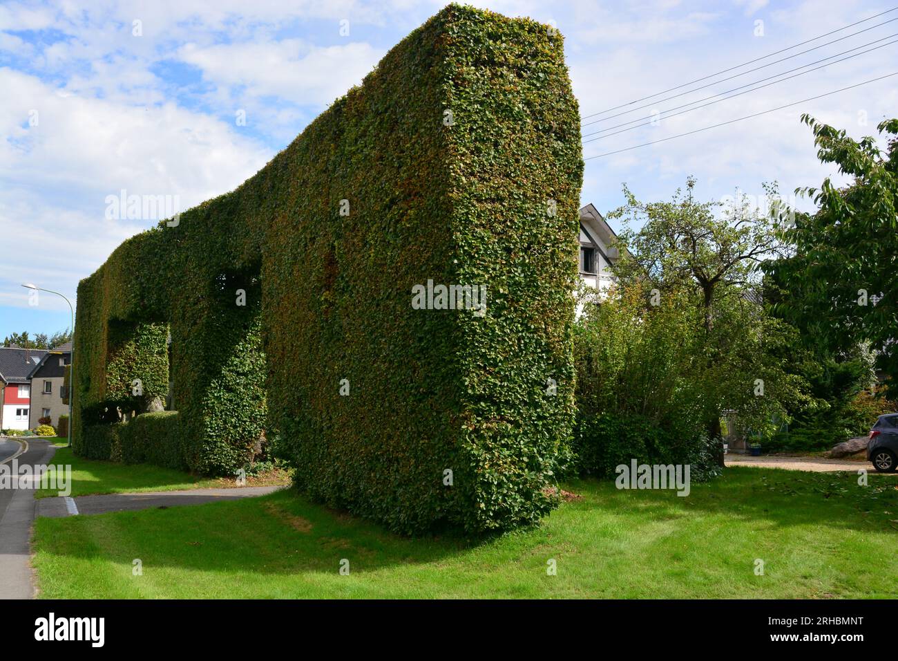 High hedges hi-res stock photography and images - Alamy