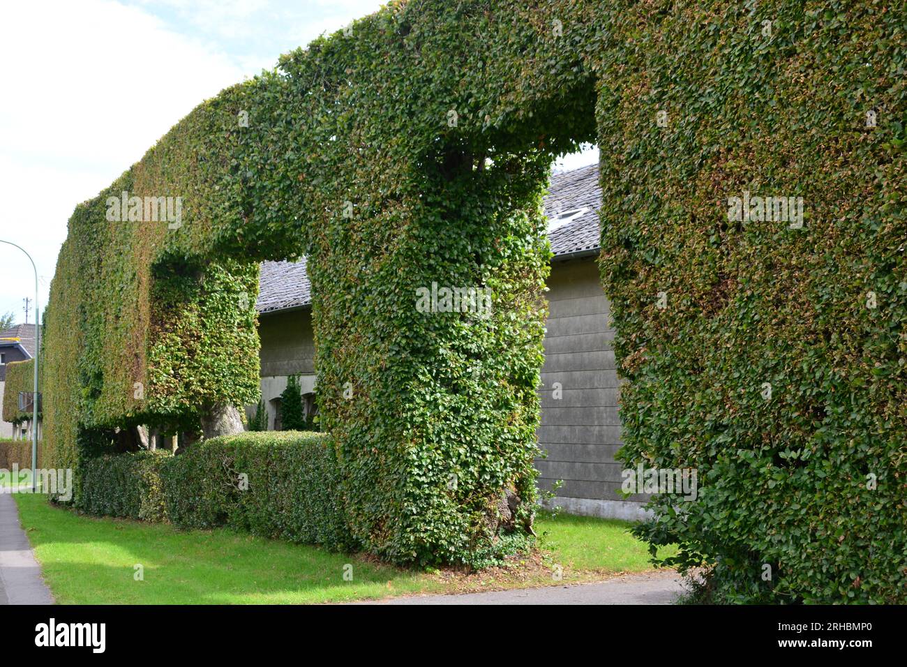 High hedges hi-res stock photography and images - Alamy