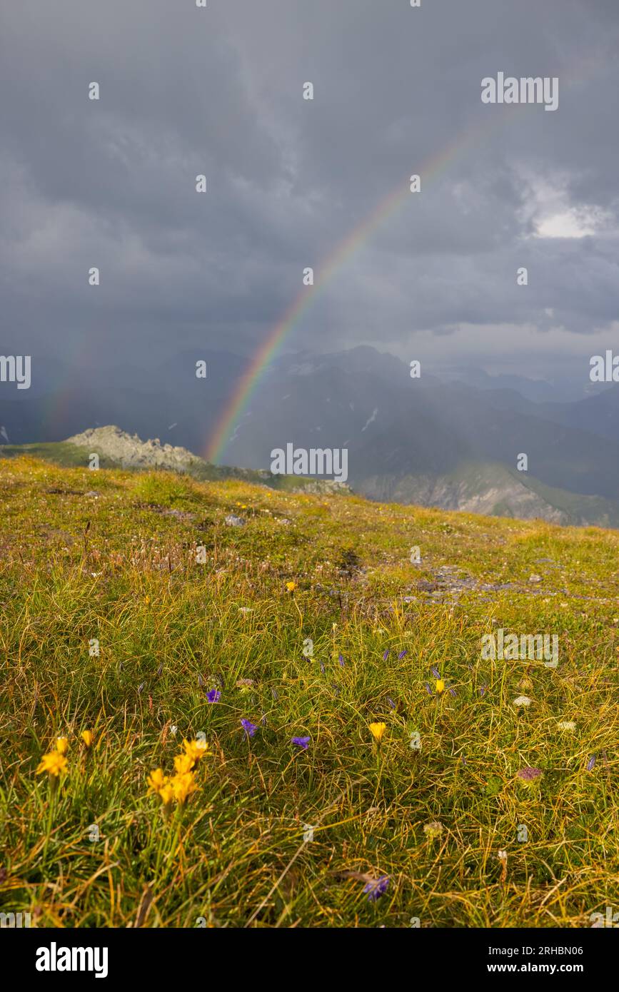 Epic colors hi-res stock photography and images - Alamy