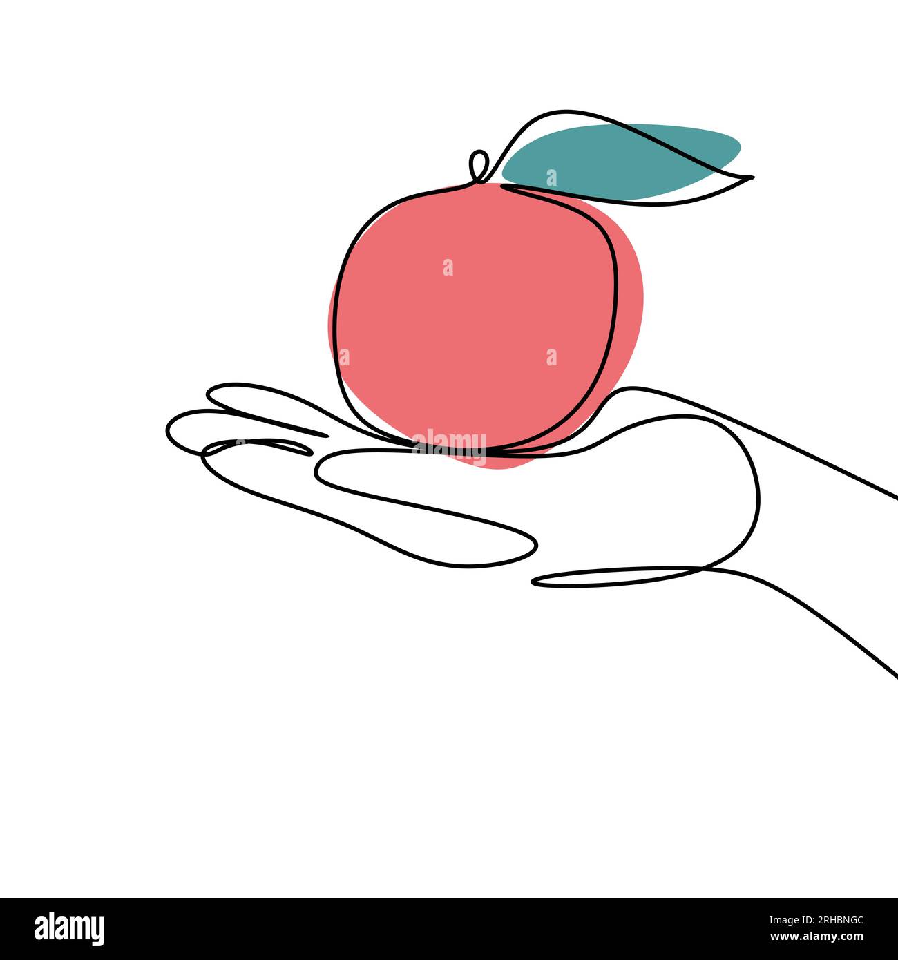 drawing a continuous line of apples Stock Vector Image & Art - Alamy