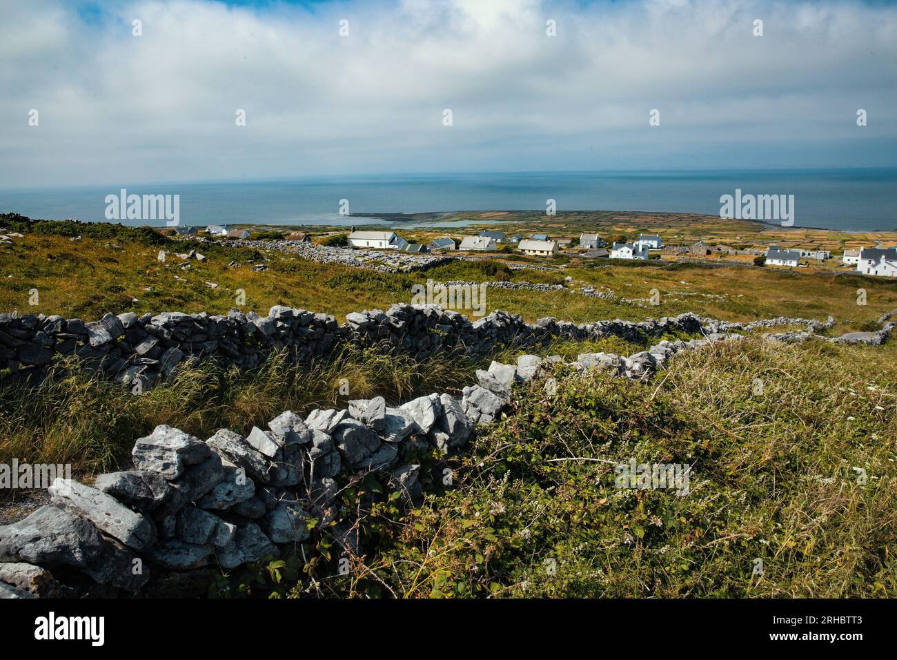 Miles of stonewalls dot fields of wildflower meadows across Inishmore ...