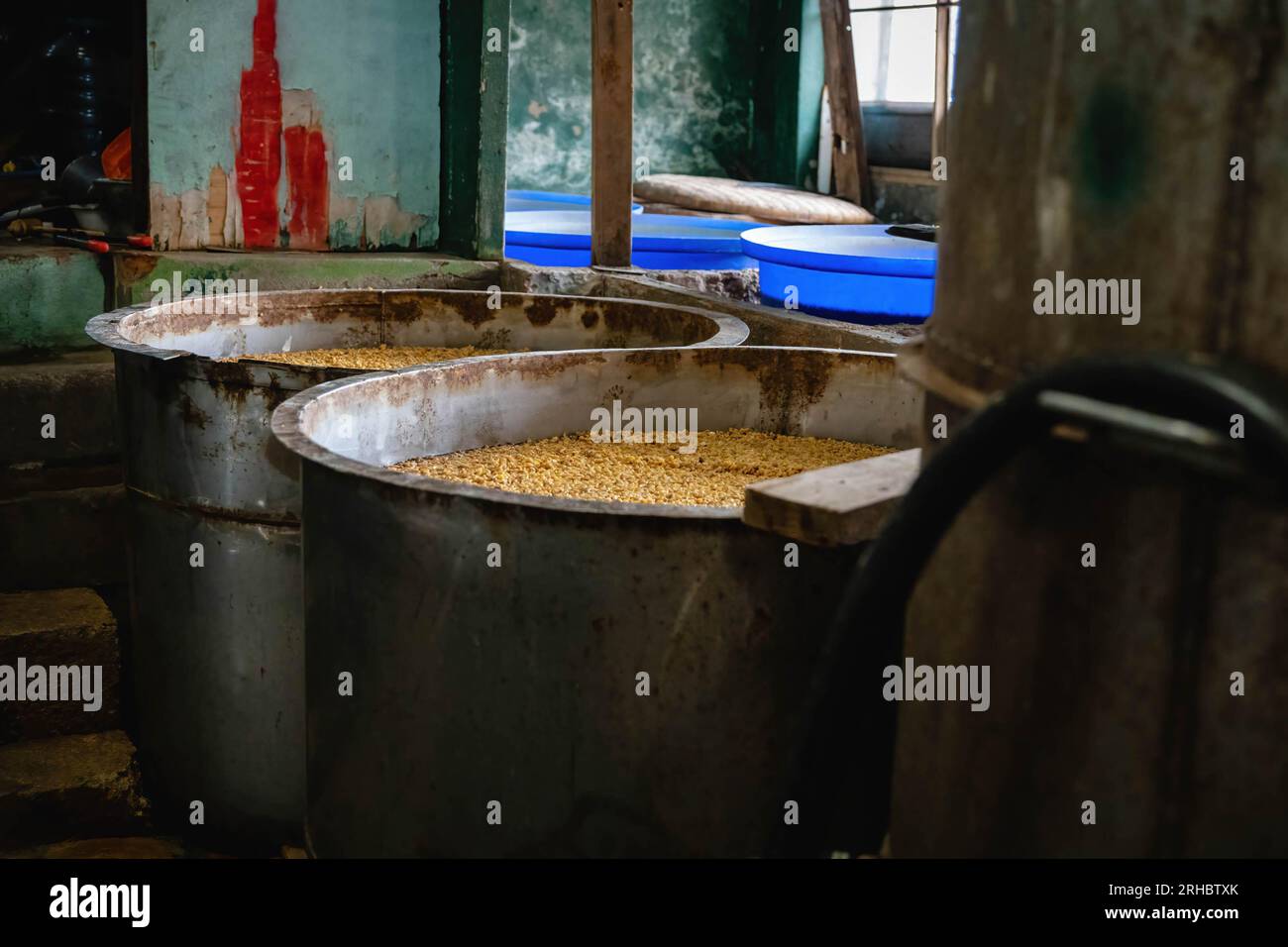 Soybeans fermented in large containers which are waiting to be boiled ...