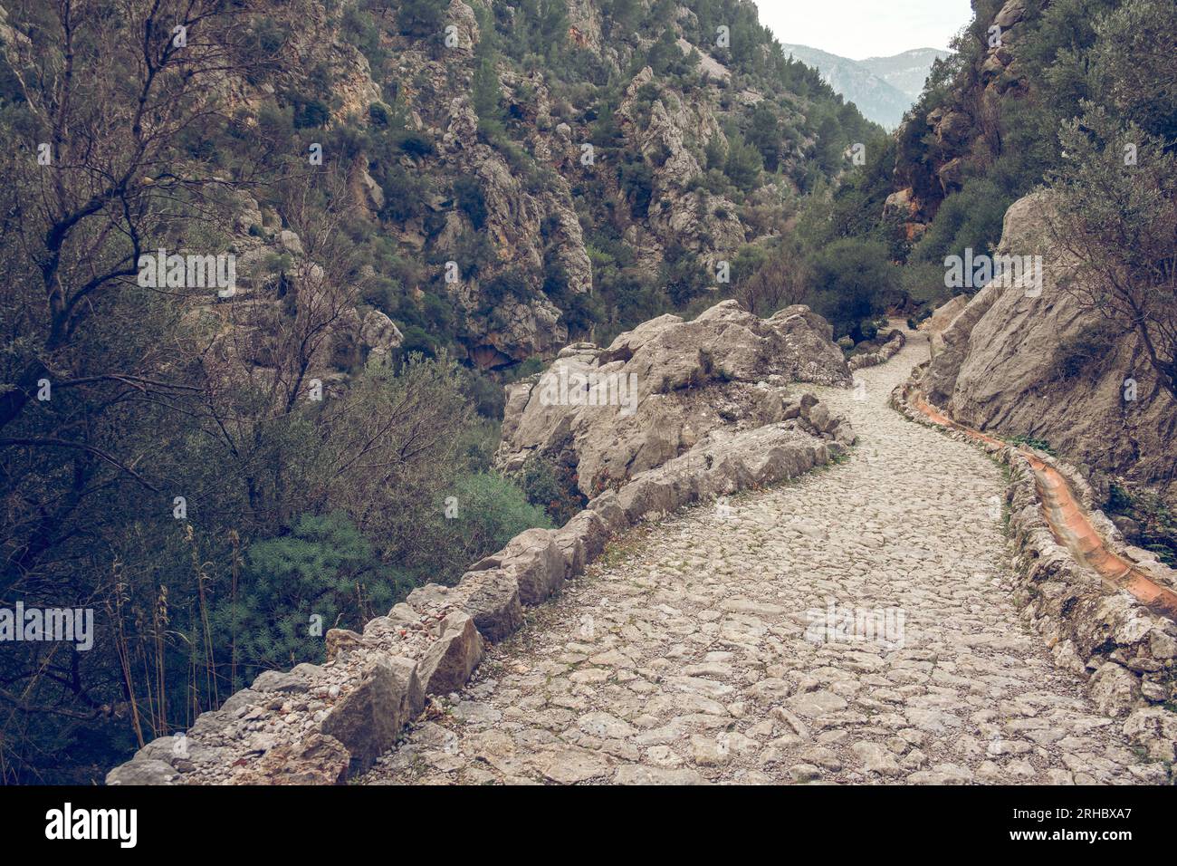 Spectacular scenery of narrow curvy stone path in scenic rocky gorge ...