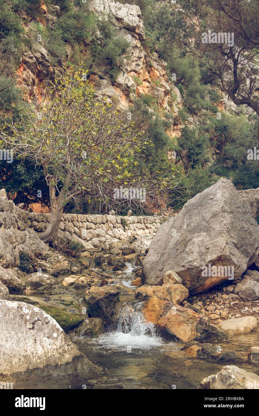 Picturesque scenery of small rapid waterfall flowing through rocky ...