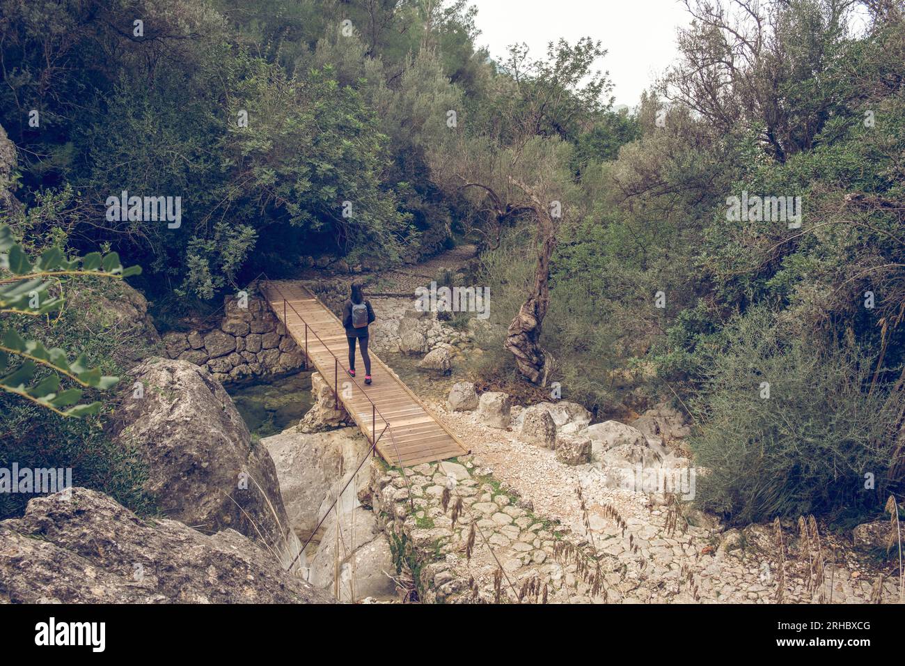 Back view of full body woman tourist strolling on narrow wooden ...