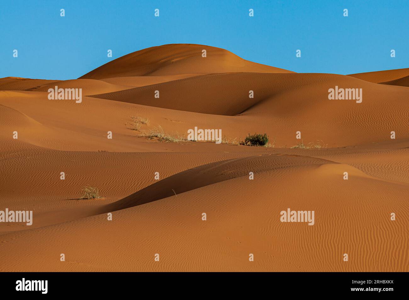 Orange desert hi-res stock photography and images - Alamy