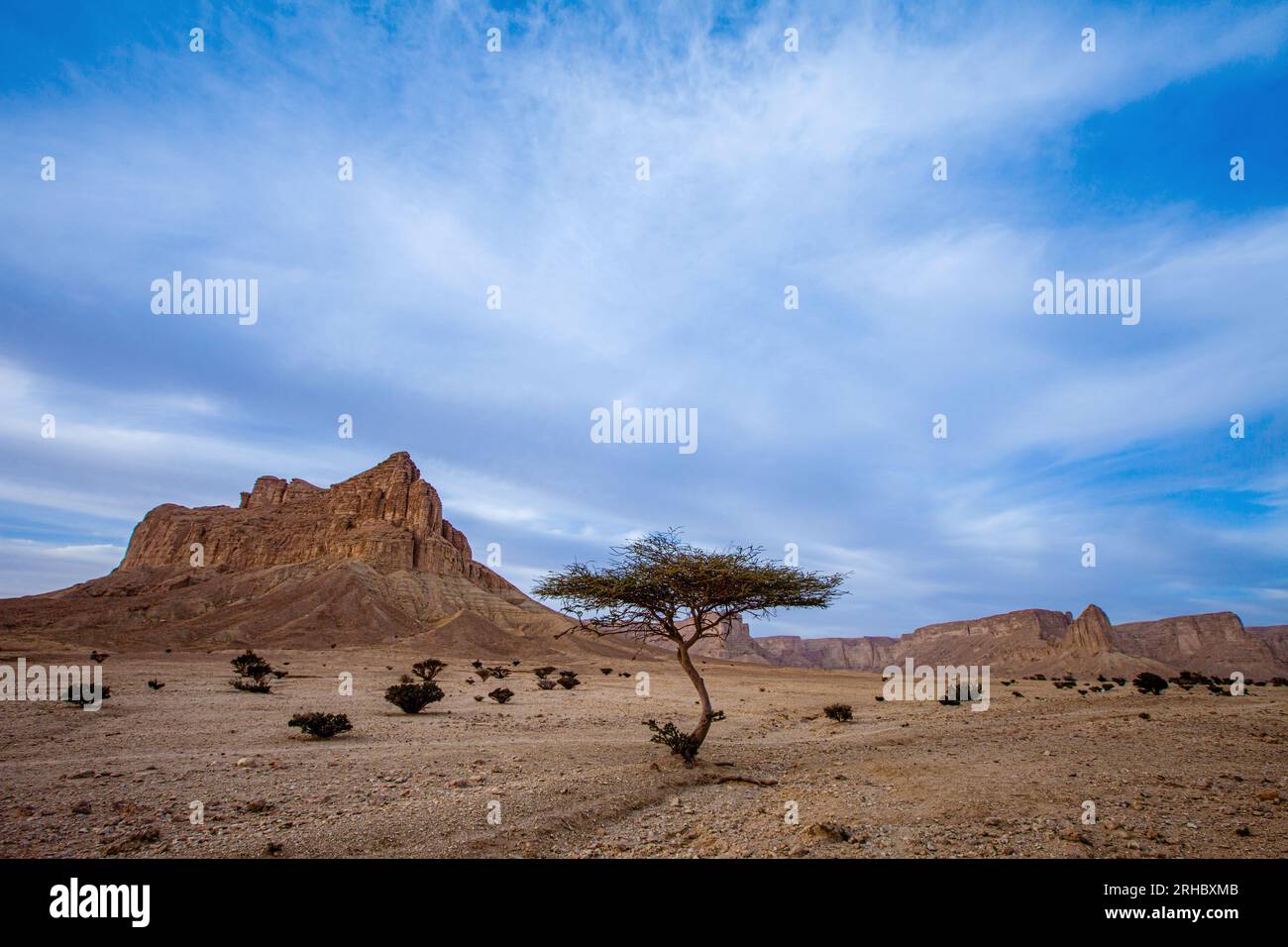 Nejd desert hi-res stock photography and images - Alamy