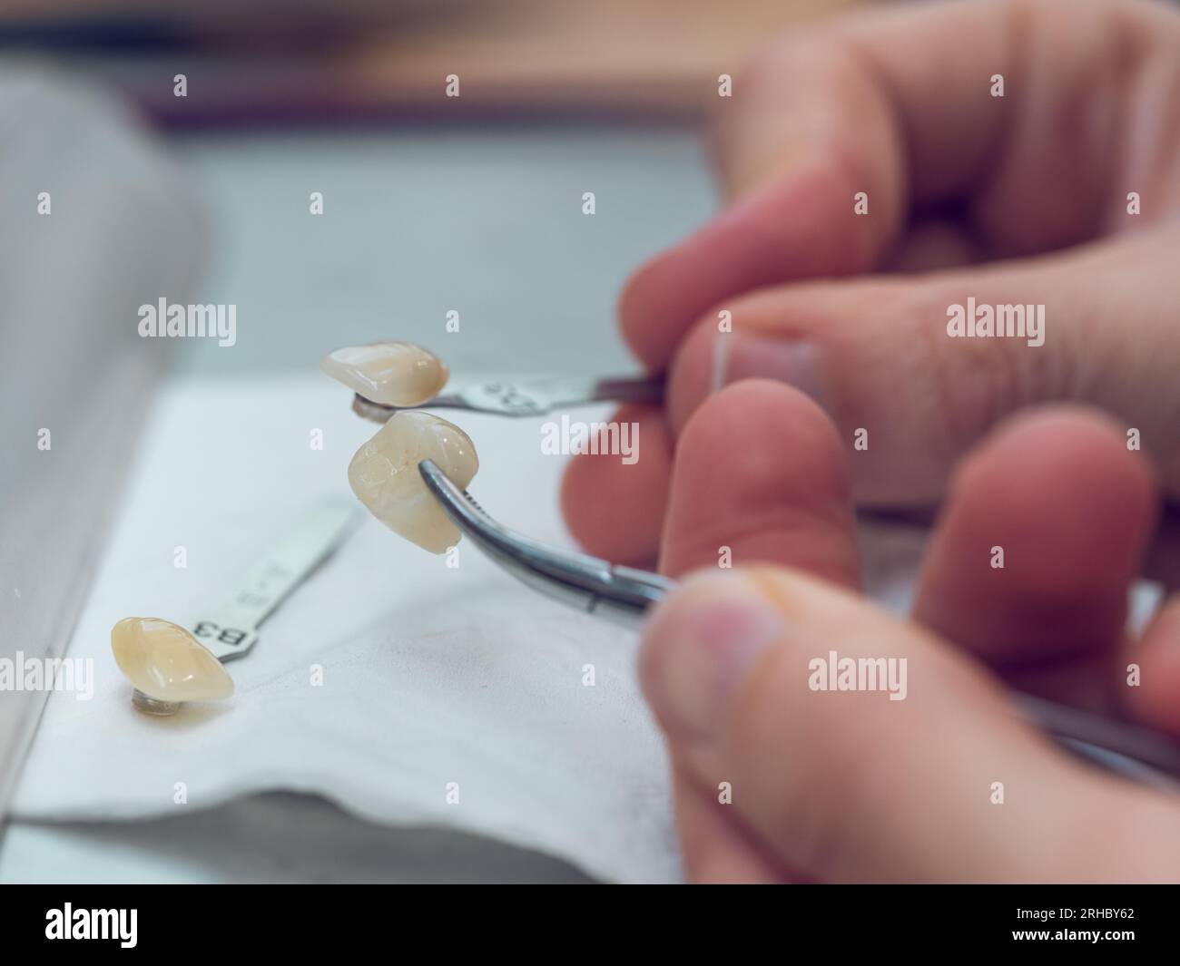 Parts Of Clamp In Dentistry at Julian Eltham blog