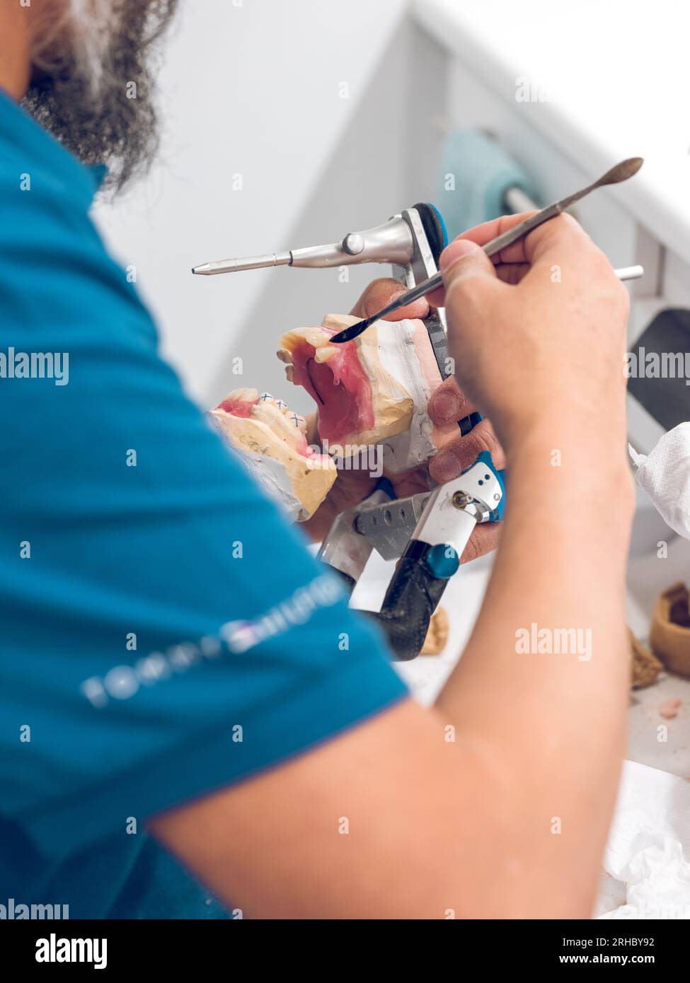 Crop unrecognizable technician setting plastic teeth into artificial ...