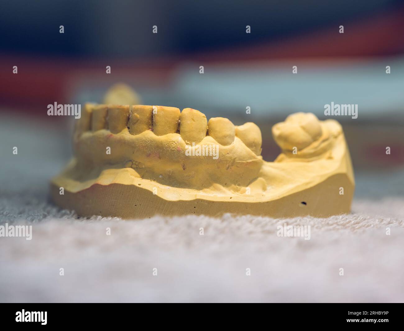 Closeup of detailed cast of human teeth made of plaster for making ...