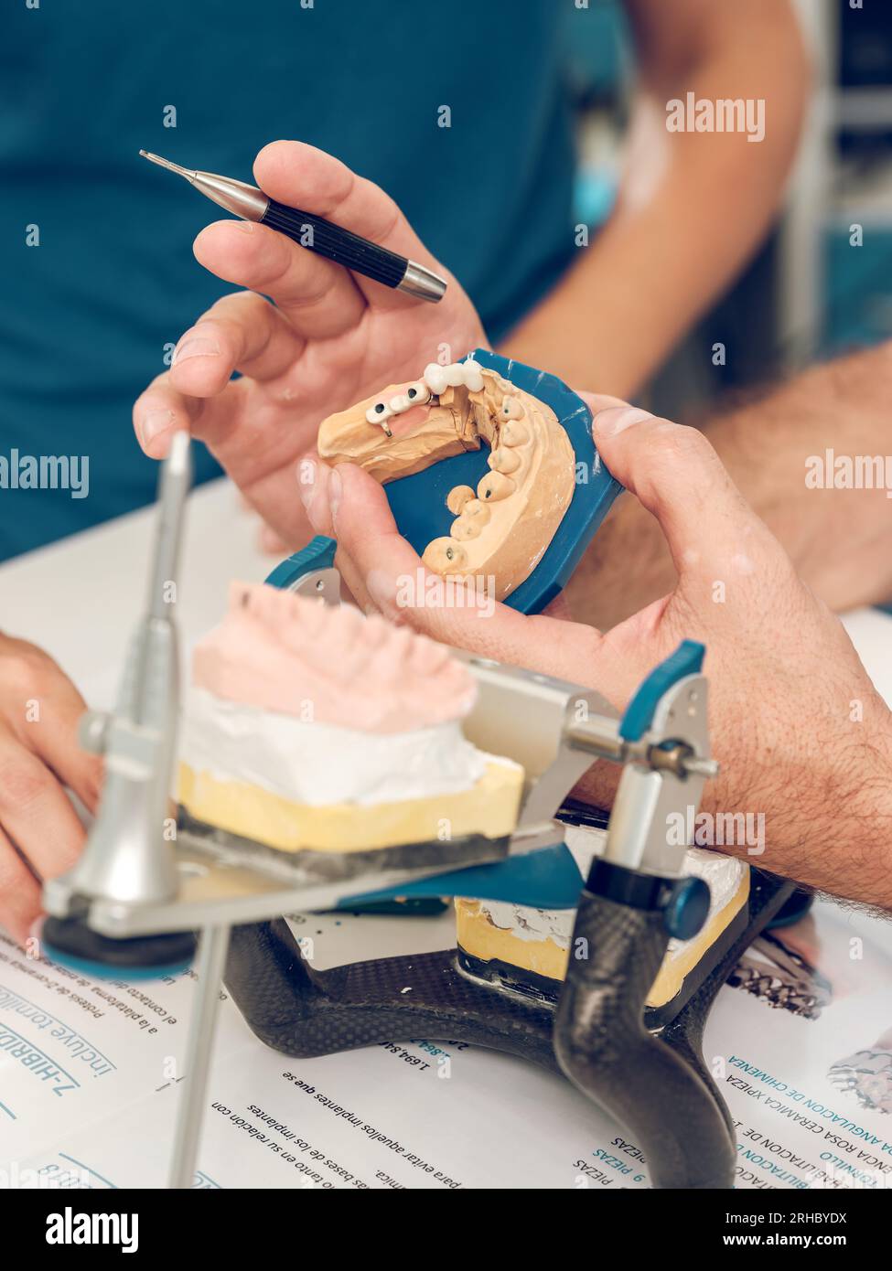Crop unrecognizable male dentist technician using gypsum jaw casts ...