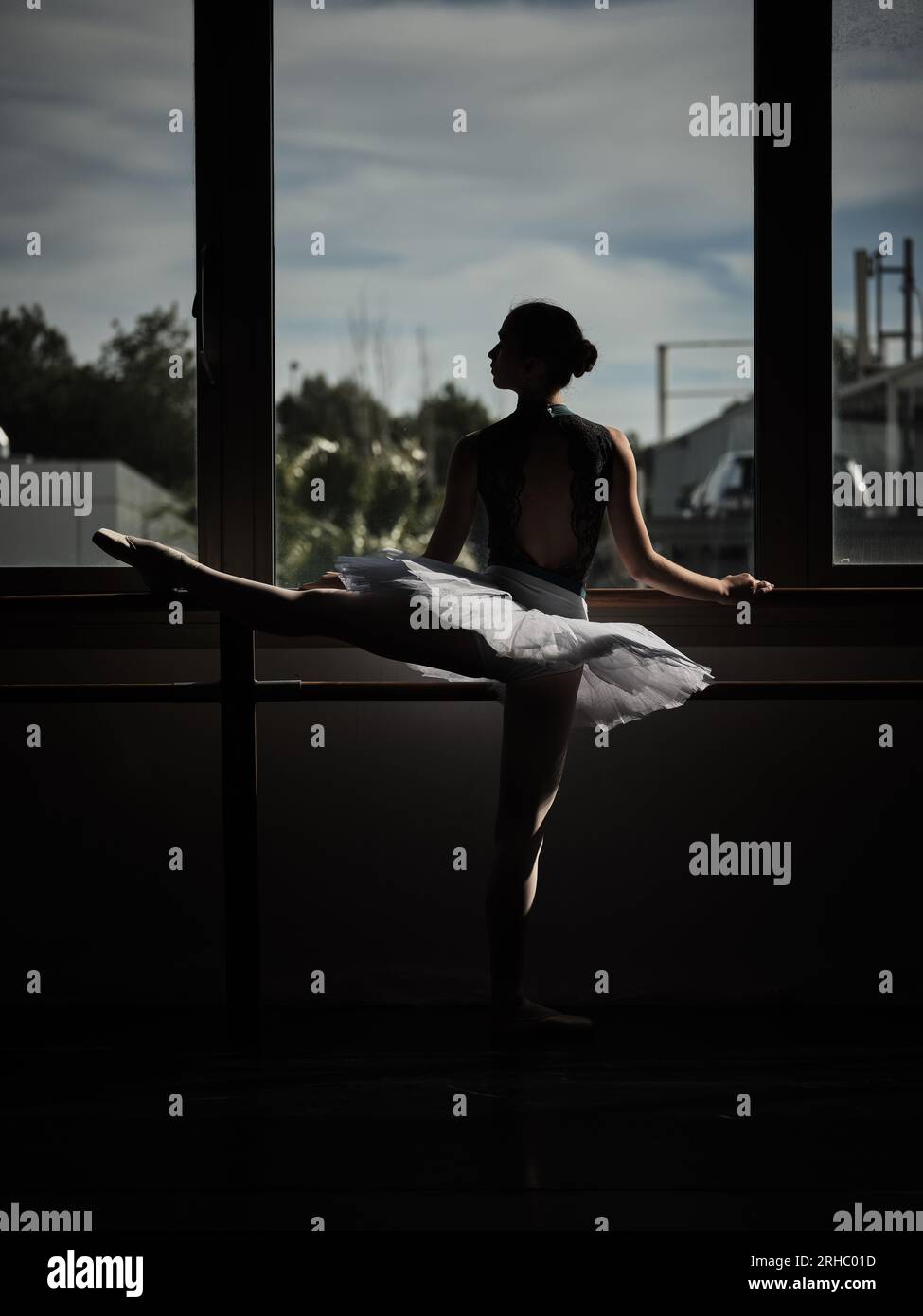Back view of slender ballerina standing at ballet barre and stretching ...