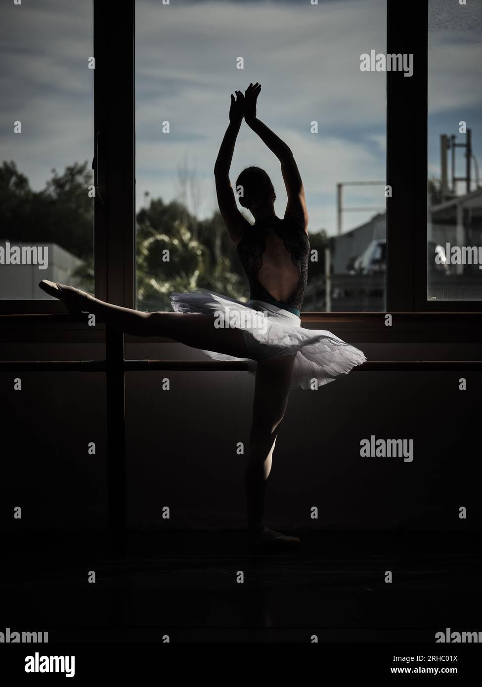 Back view of ballerina in tutu skirt stretching on barre and looking at ...