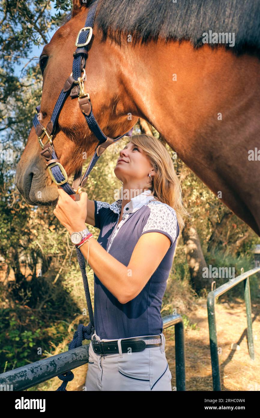 Content female equestrian caressing muzzle of chestnut obedient horse ...