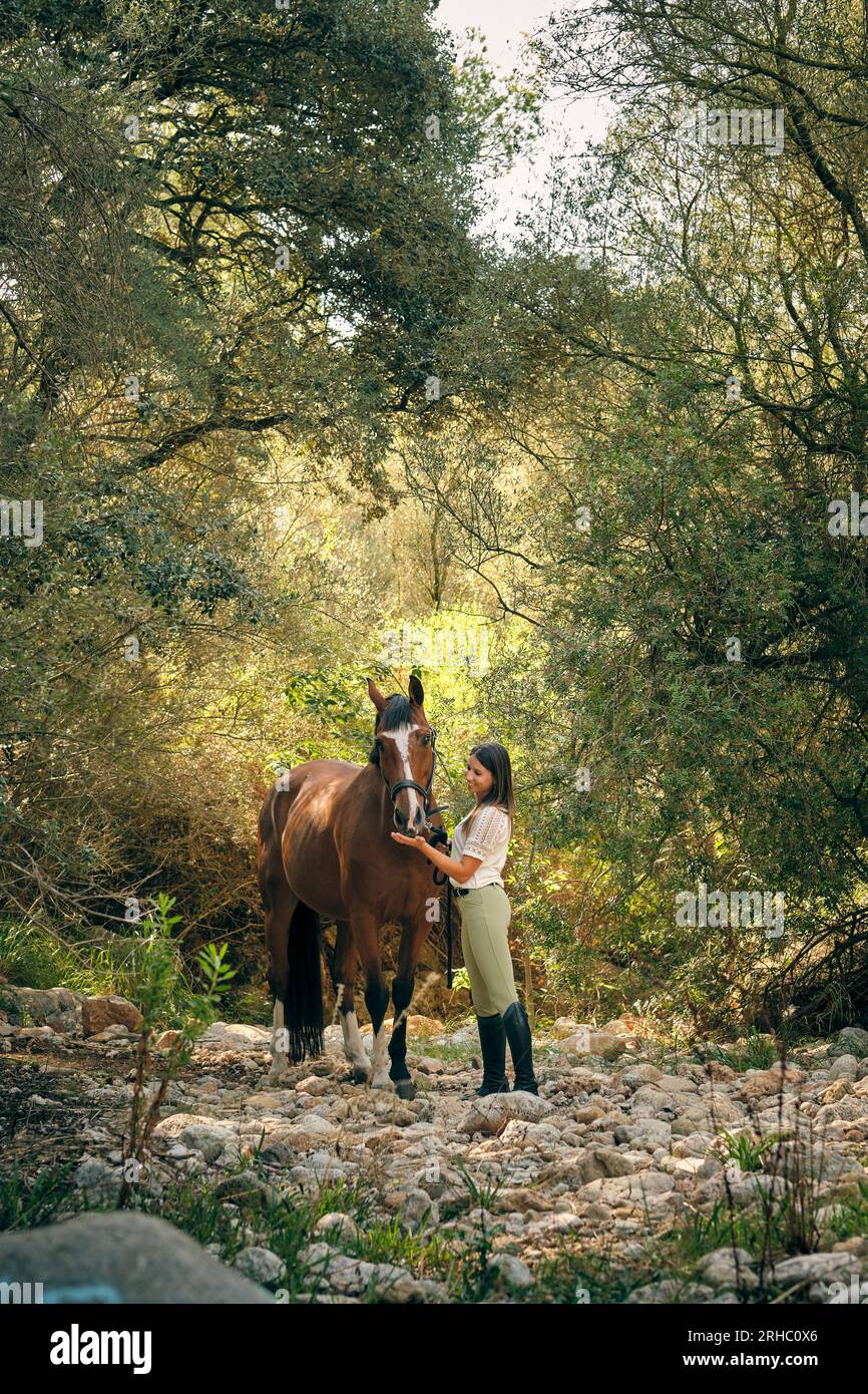 Caring female equestrian feeding chestnut horse while standing on rocky ...
