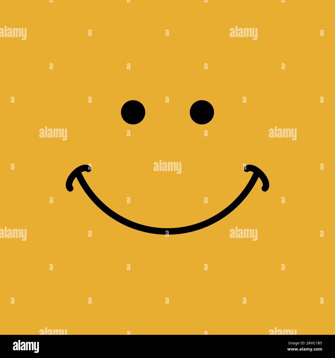 Fake Smile Smiley
