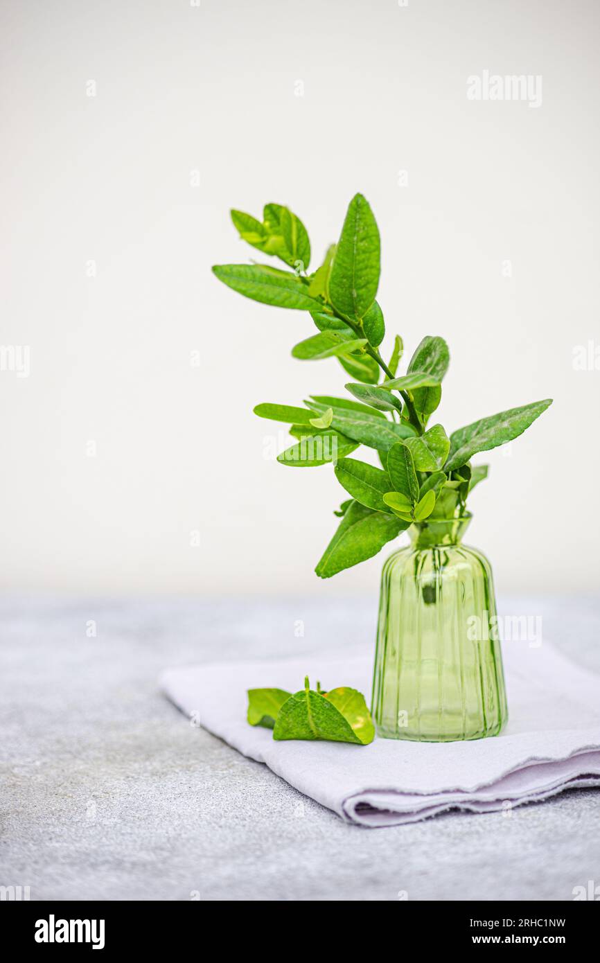 Lemon tree branch in a green glass vase Stock Photo - Alamy
