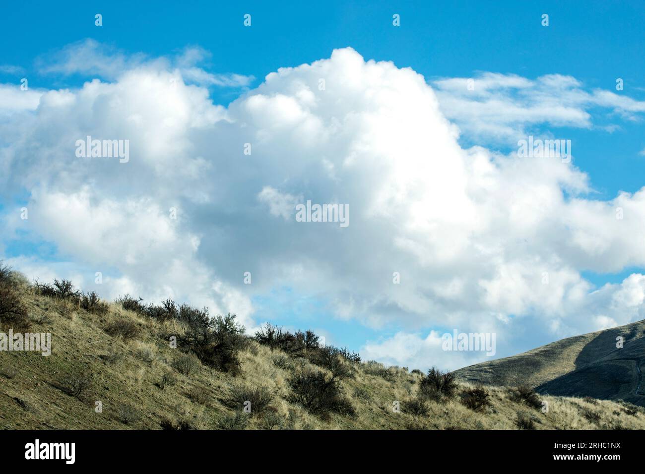 Rural wilderness landscape, USA Stock Photo - Alamy