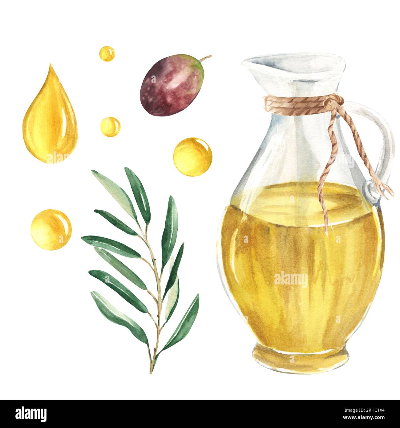 Set of olive oil open glass jug, oil drops, olive fruit and branch ...