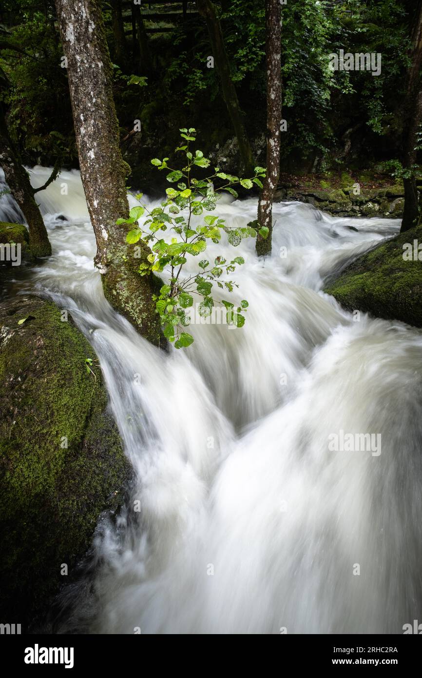 Waterfalls around Elterwater, Skelwith Force and Colwith Force Stock ...