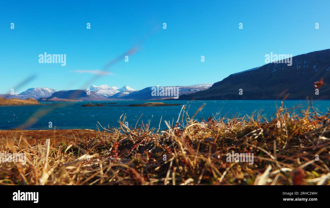Colorful icelandic landscape with lake surrounded by snowy mountains ...