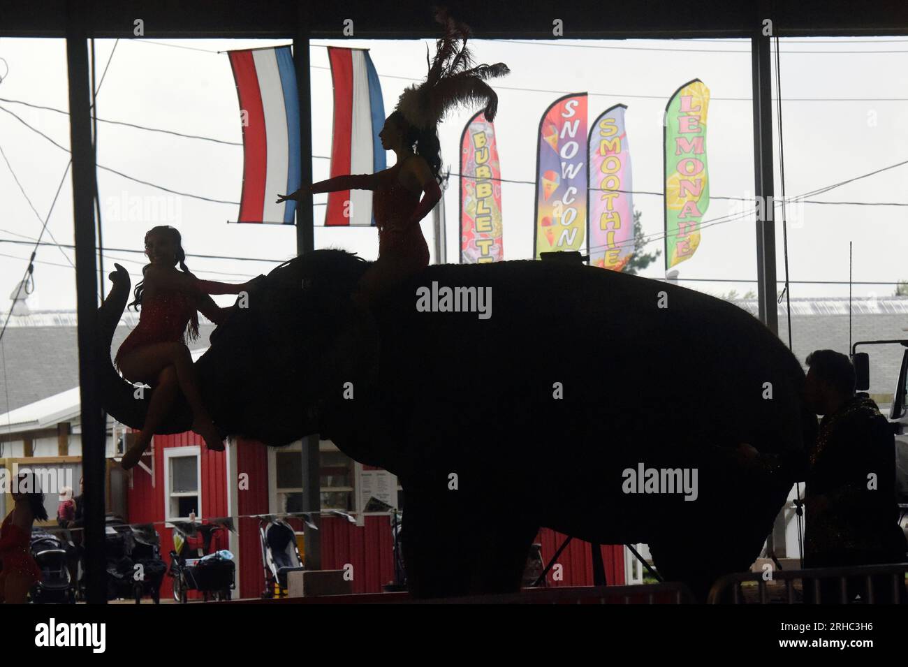 Performers and elephants entertain the crowd during the first of three ...