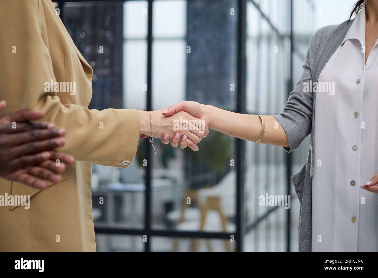 Two professional business people shaking hands in an office lobby Stock ...