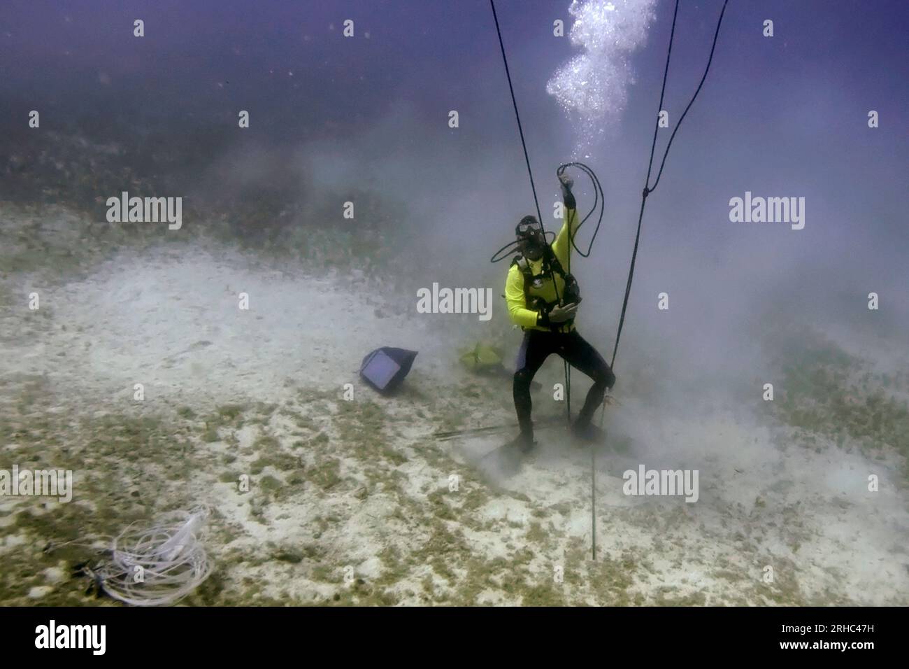 A diver with nonprofit Reef Renewal USA anchors a float to the sea ...