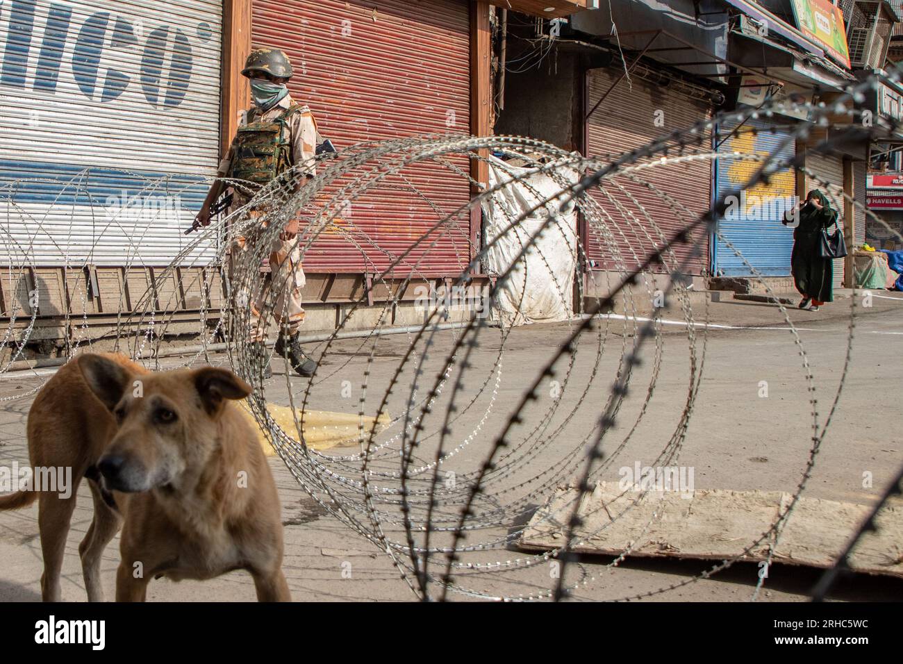 Srinagar, India. 15th Aug, 2023. A Kashmiri woman walks past Indian ...