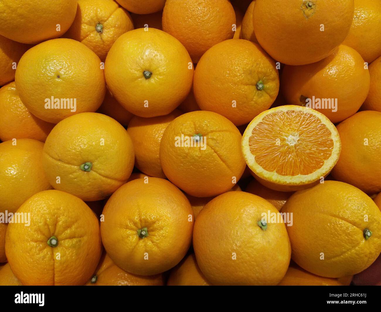 Bahia Orange is originally from the state of Bahia – Brazil, this ...