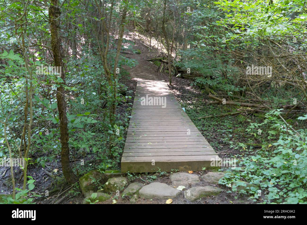 Swamp bridge hi-res stock photography and images - Alamy