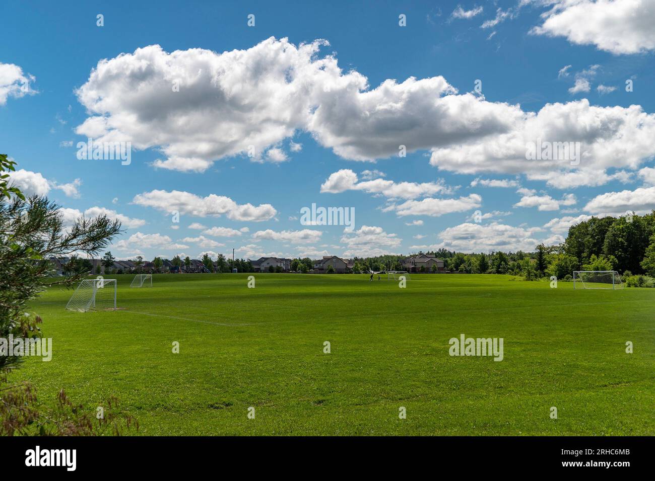 Urban football field with clipped juicy greens under a blue sky with ...