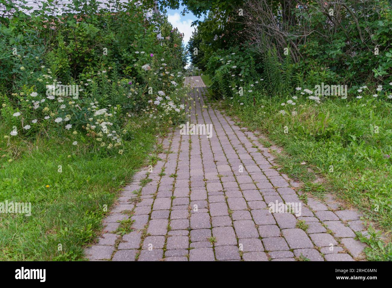 A paved path goes up to a blue sky with a white cloud Stock Photo - Alamy