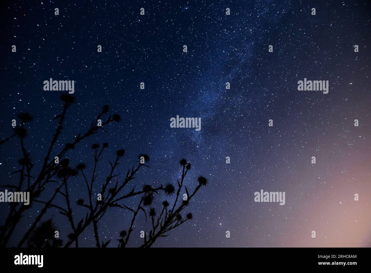 August 15, 2023, KÃ¼tahya, Tav?anl, Turkey: Shooting stars appear in ...