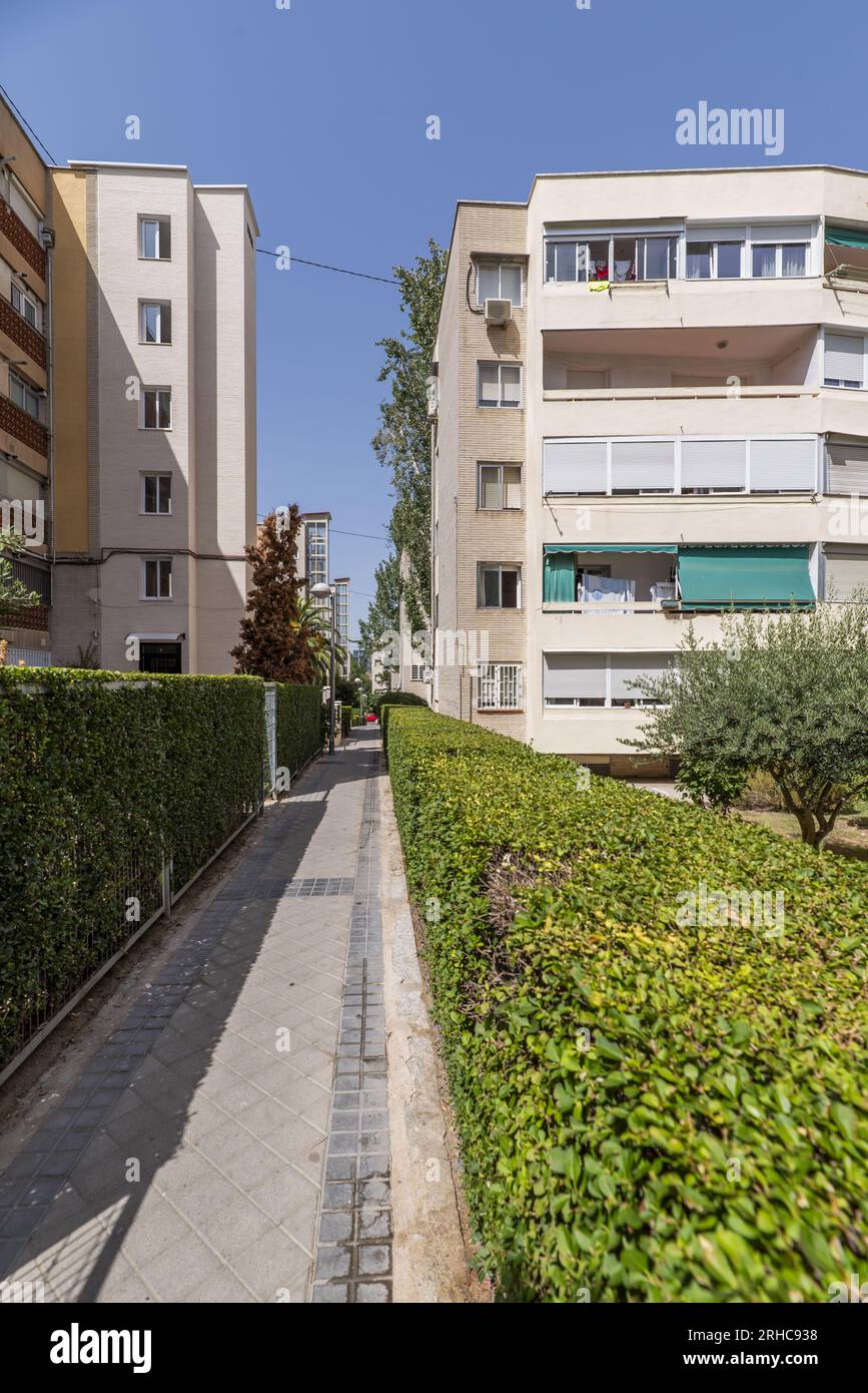 Conventional cobblestone driveway between residential buildings flanked ...