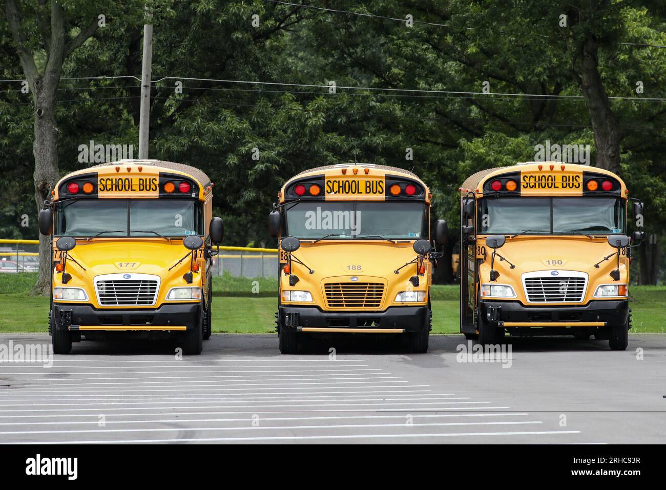 Bloomsburg, Pennsylvania, USA. 15th Aug, 2023. School buses are seen ...