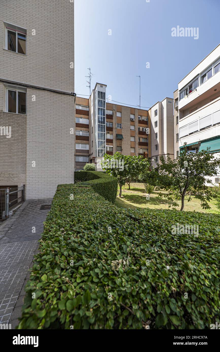 Walk between buildings flanked by hedges and gardens with young trees ...