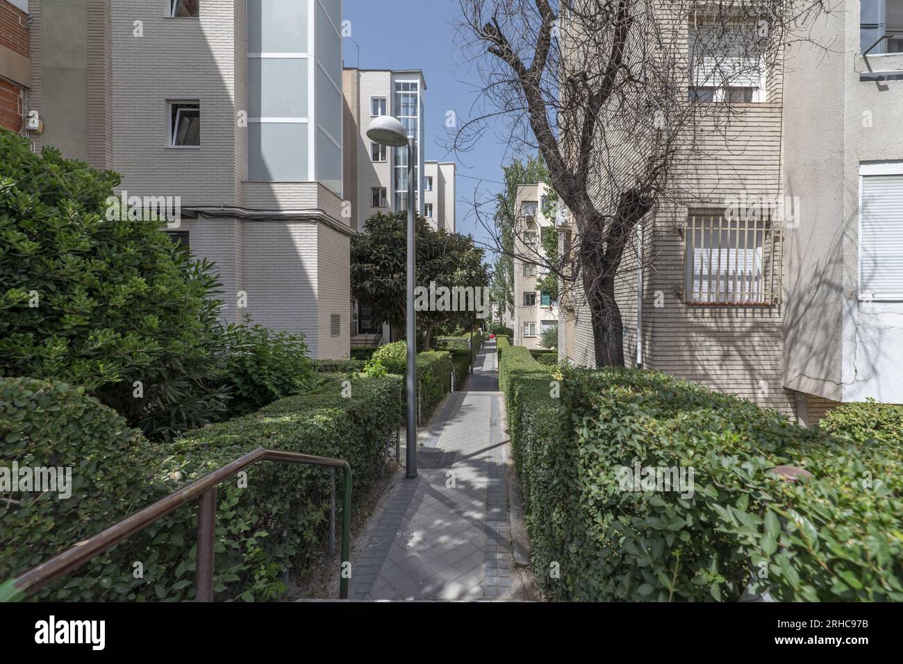 Walk between buildings flanked by hedges and metal railings Stock Photo ...