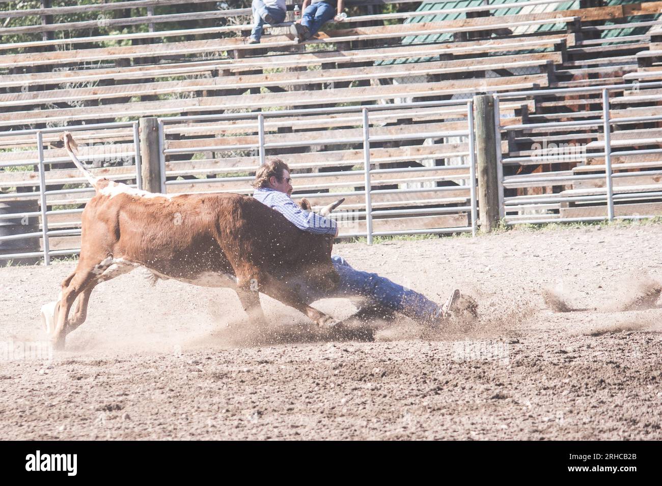 Montana rodeo circuit hi-res stock photography and images - Alamy