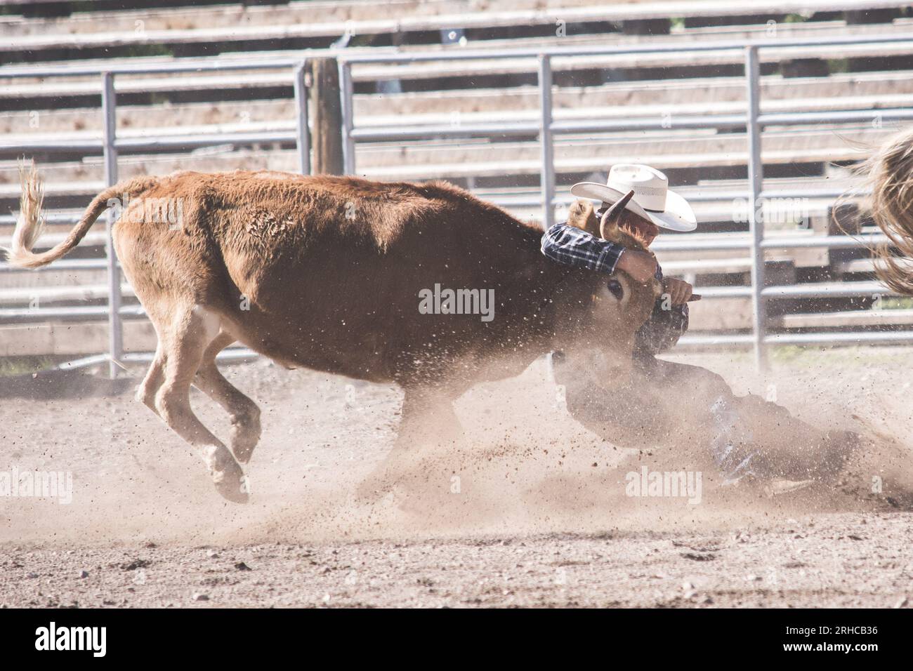 Augusta American Legion PRCA Rodeo Slack in Augusta, MT- Summer 2019 ...