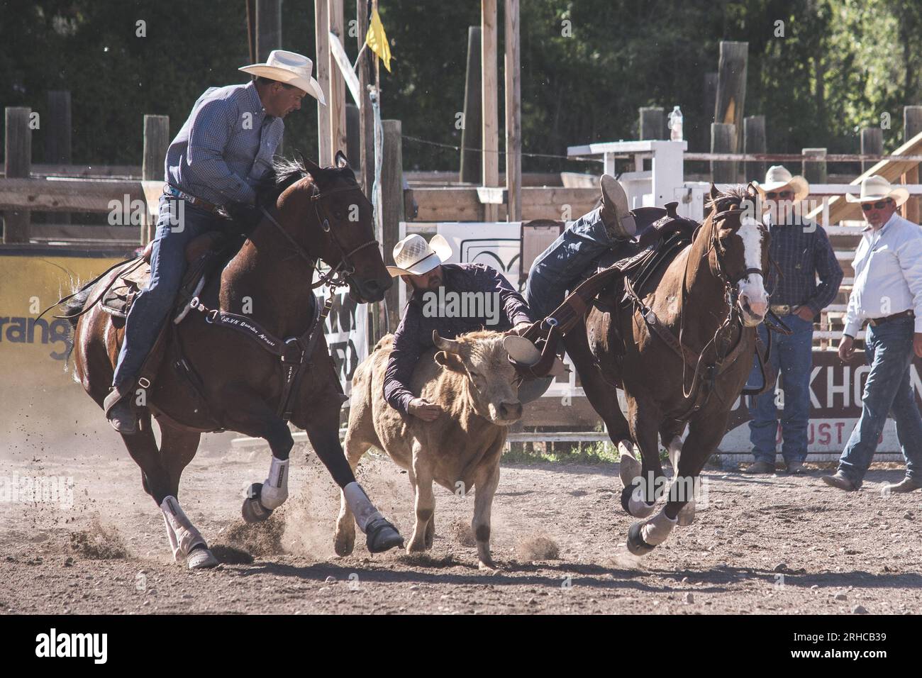 Augusta American Legion PRCA Rodeo Slack in Augusta, MT- Summer 2019 ...