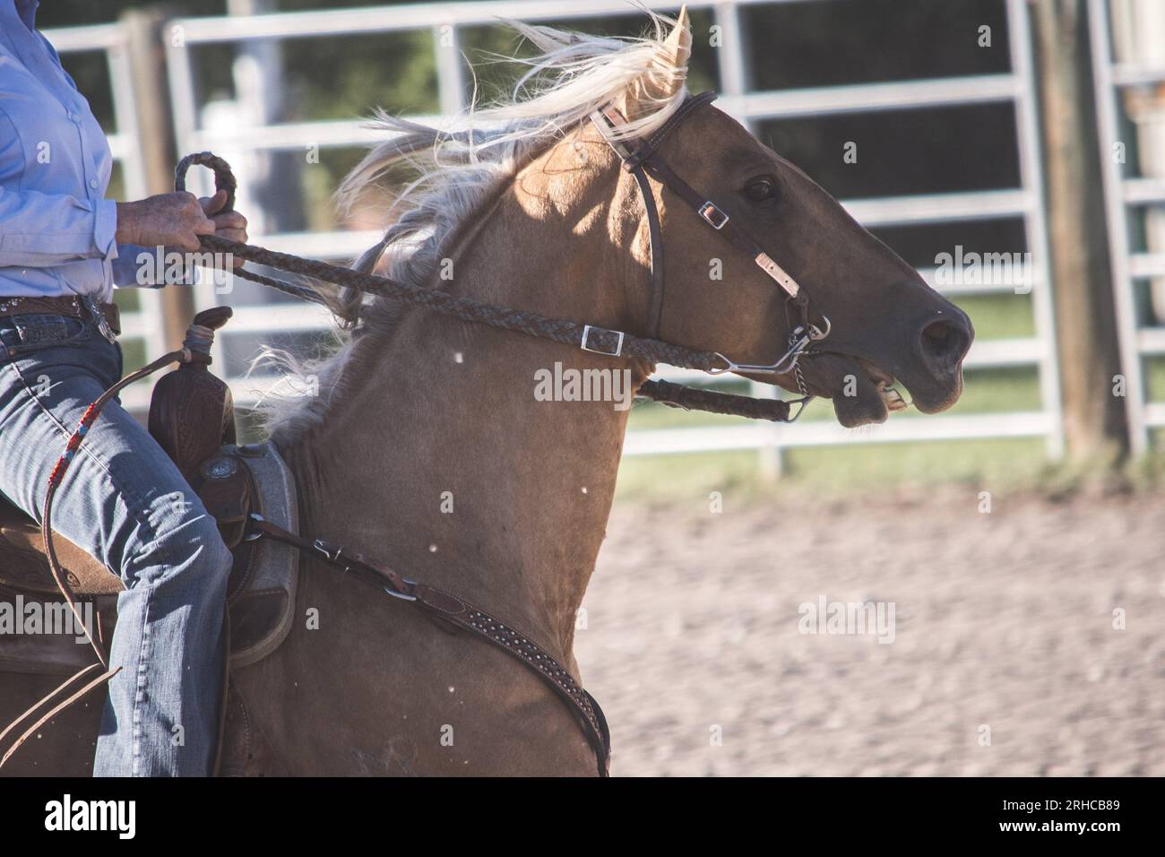 Augusta American Legion PRCA Rodeo Slack in Augusta, MT- Summer 2019 ...