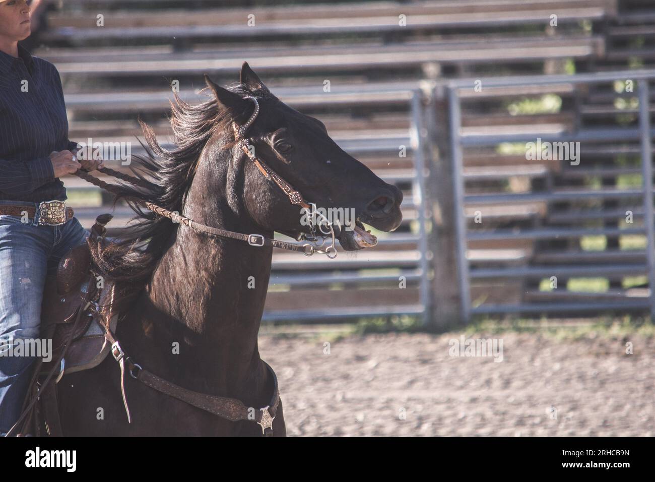 Augusta American Legion PRCA Rodeo Slack in Augusta, MT- Summer 2019 ...