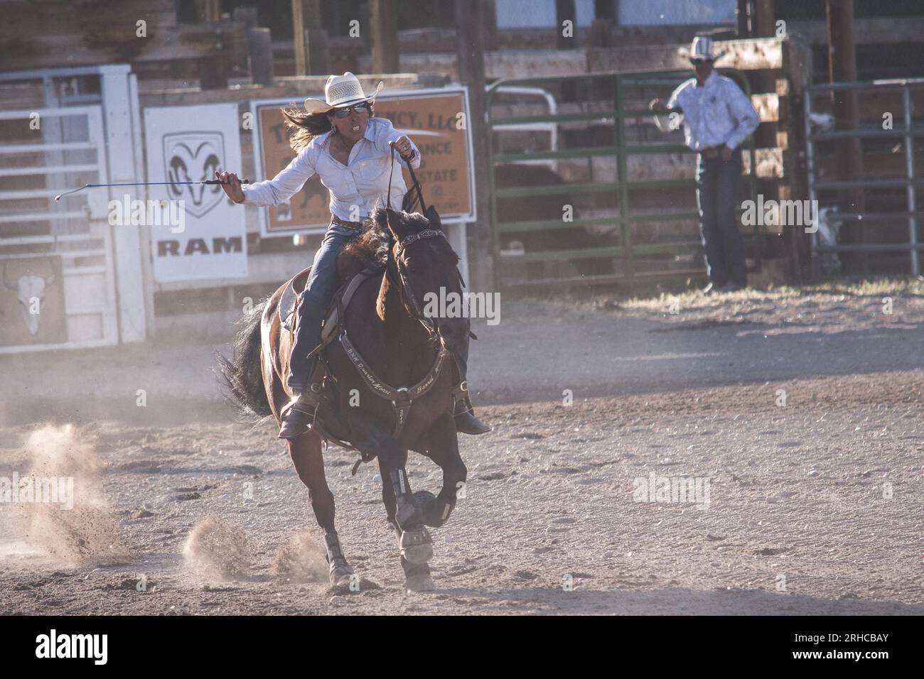 Montana rodeo circuit hi-res stock photography and images - Alamy