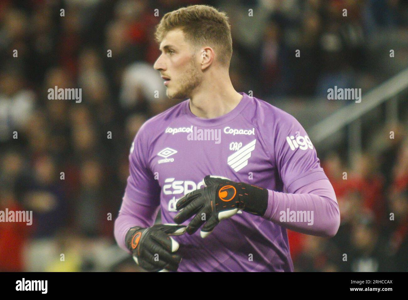 Curitiba, Brazil. 15th Aug, 2023. PR - CURITIBA - 08/15/2023 ...