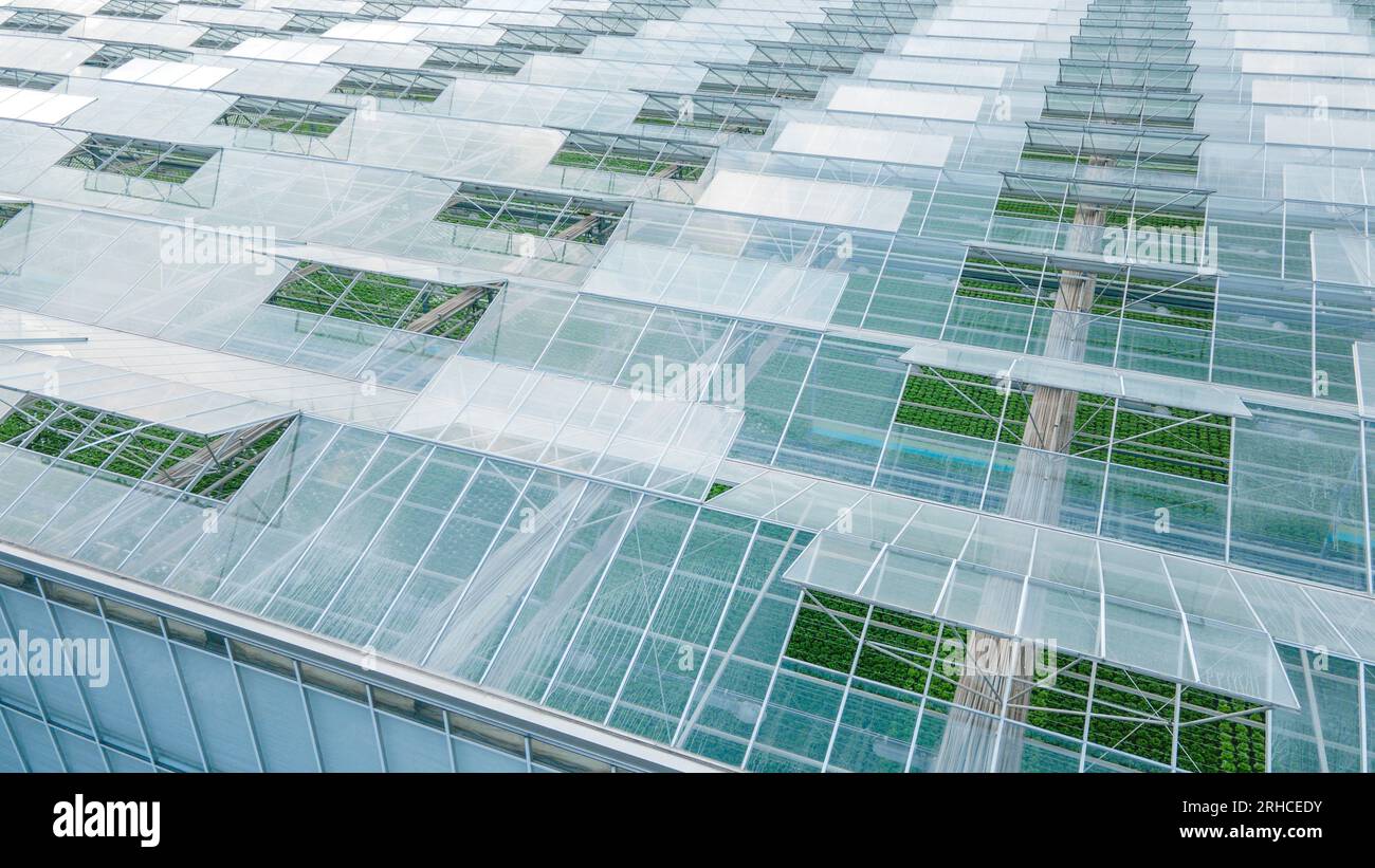 Upper greenhouse with open windows. Top view Stock Photo - Alamy